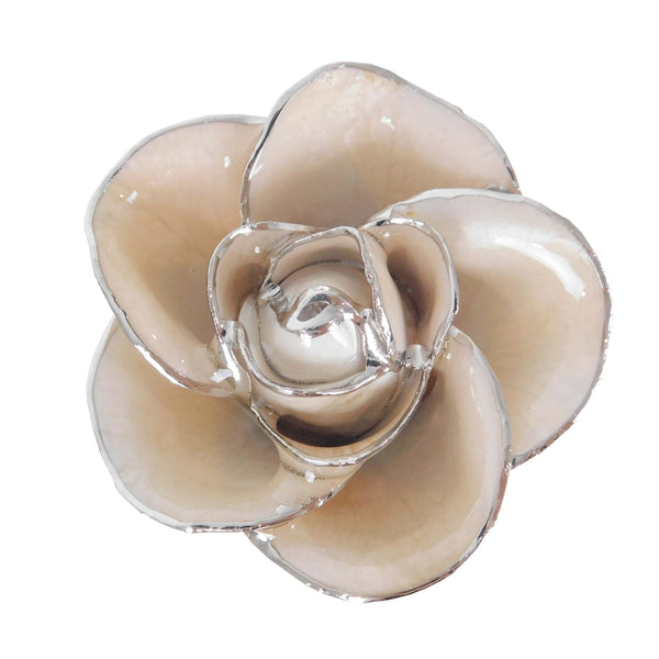 Custom Enchanted Rose - Angel Platinum Trim Rose - The Forever Rose