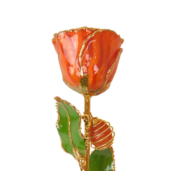 24K Gold Forever Rose - Carnelian - The Forever Rose