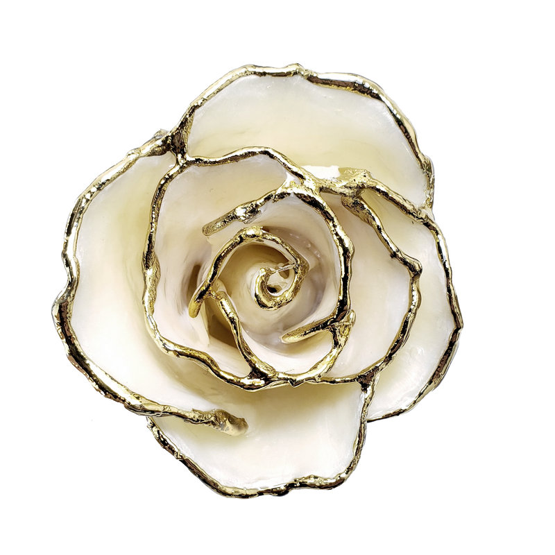 Natural Green Stem Roses - The Forever Rose