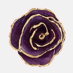 Natural Green Stem Roses - The Forever Rose