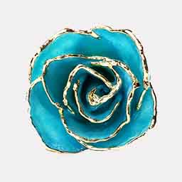 Natural Green Stem Roses - The Forever Rose