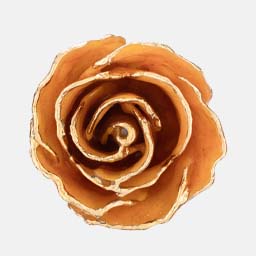 The Forever Rose - Official Site | Real Roses Dipped in 24K Gold