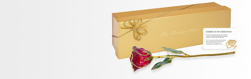 The Forever Rose - Official Site | Real Roses Dipped in 24K Gold