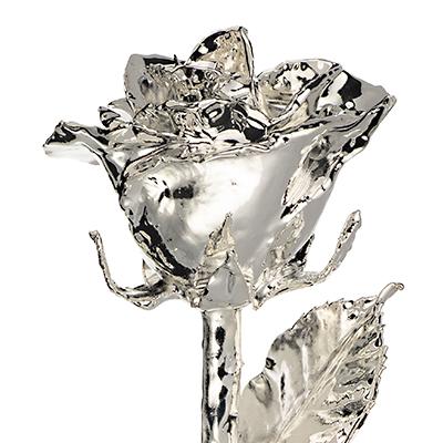 24K Gold Dipped Roses - The Forever Rose