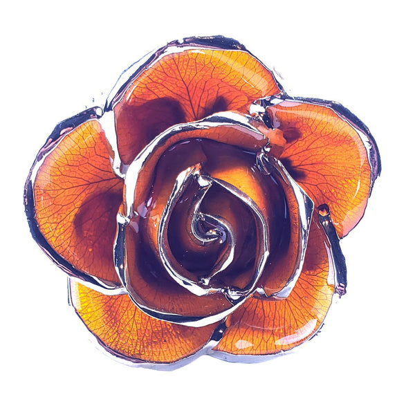Platinum Forever Rose - Amber - The Forever Rose